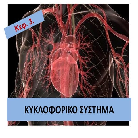 ΤΟ_ΚΥΚΛΟΦΟΡΙΚΟ_ΣΥΣΤΗΜΑ | PDF