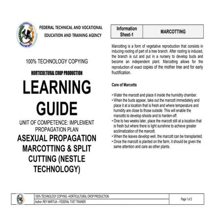 3. MARCOTTING - Copy.docx