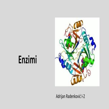 3. Enzimi prezentacija za cas informatike | PPTX