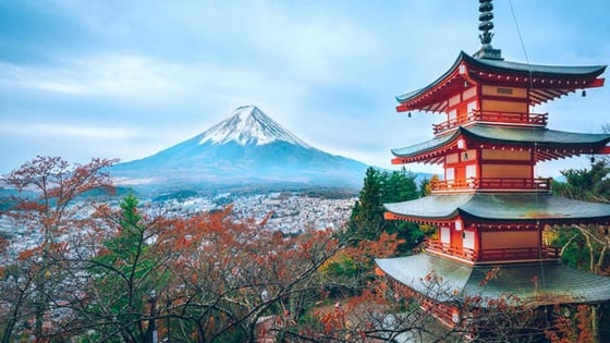 Bridger Insight brochure | PDF