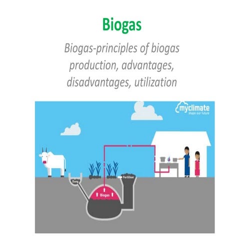 Biogas plant & types of bio gas plant | PPTX