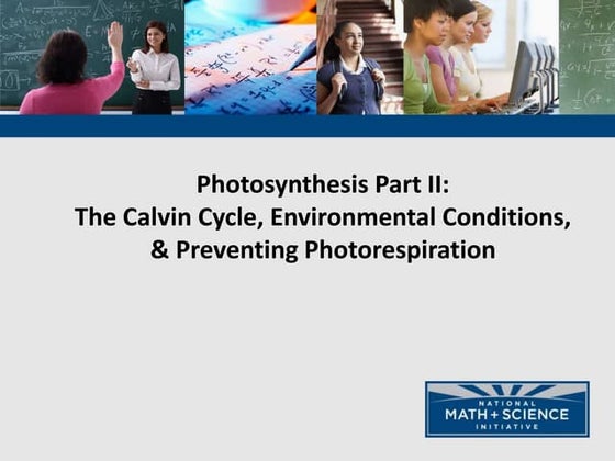 CALVIN CYCLE (C3 - PATHWAY).pptx | Chemistry | Science