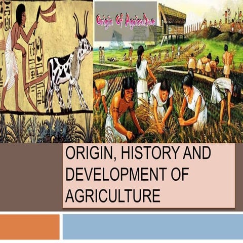 ORIGIN-HISTORY-AND-DEVELOPMENT-OF-AGRICULTURE.pptx