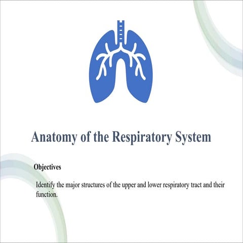 3. Anatomy of Respiratory System_a95f14adc8ca364dda223e082373b209 (1).pdf
