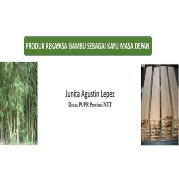 3.PRODUK REKAYASA BAMBU SEBAGAI KAYU MASA DEPAN- (SULASTININGSIH).pptx