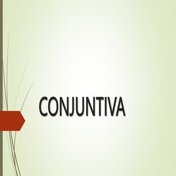 Conjuntiva.Conjuntiva.Conjuntiva.Conjuntiva. | PPTX