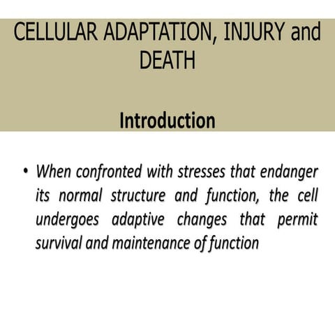 3.CELLULAR ADAPTATION, INJURY and DEATH 2012.ppt