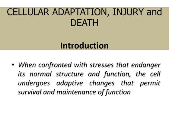 Cell injury and Cellular Adaptation: Pathology | PPT