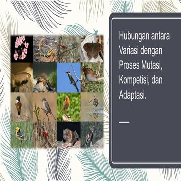 3.B.Hubungan antara Variasi BIOLOGI.pptx