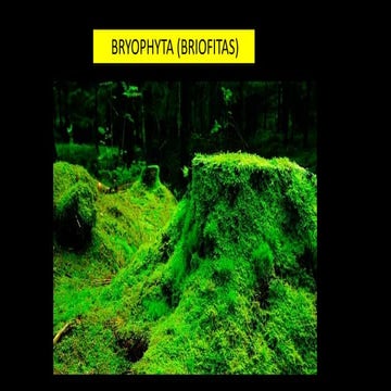BRIOFITAS DE LA PATAGONIA - BRYOPHYTA, MARCHANTIOPHYTA Y ANTHOCEROPHYTA ...