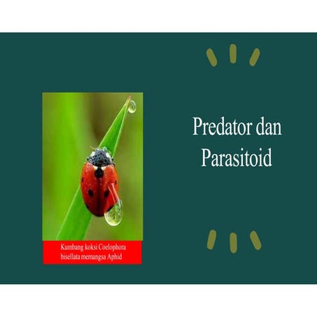 3. Ordo Predator pada tanaman budidaya.pptx