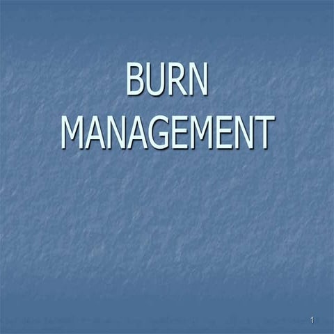3. Burn its types and explanation about it.ppt
