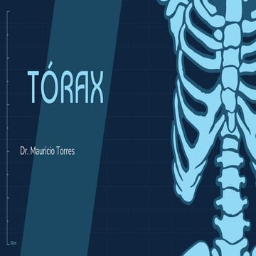 IMAGENOLOGIA DE TORAX EN DIFERENTES PROYECCIOENS | PPTX
