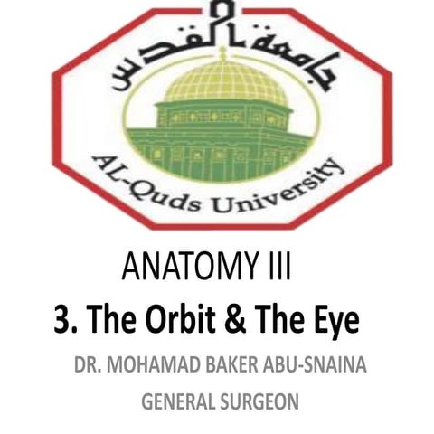 3. The Orbit & The Eye very jvaosnfsd.pdf