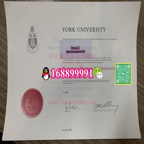 York University Diploma