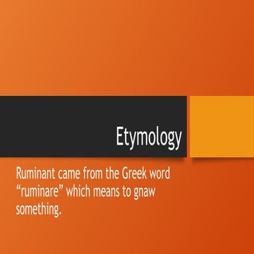 3. Breeds of Small and Large Ruminants.pptx
