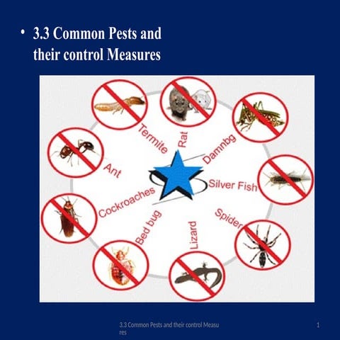 Pest control ppt | PPTX