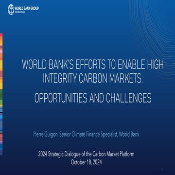 9th Strategic Dialogue of the Carbon Market Platform - Malin Ahlberg | PDF