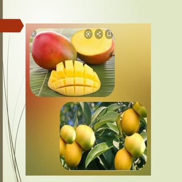 Pract no. 9 (b) floral biology of mango | PPT