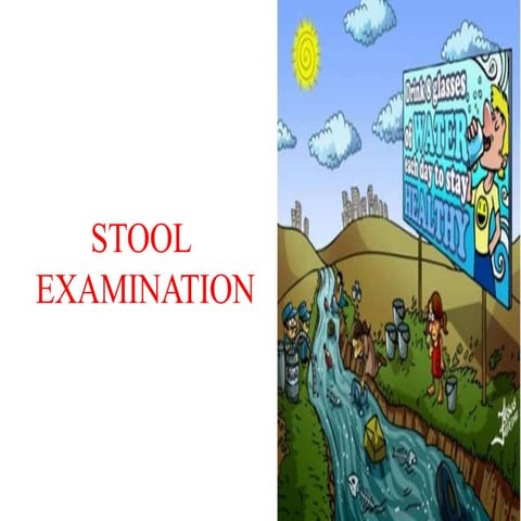 3. Stool examinations and analysis.pptx