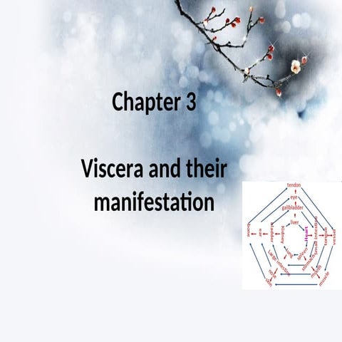 Five zang organs Traditional Chinese Medicine.ppt