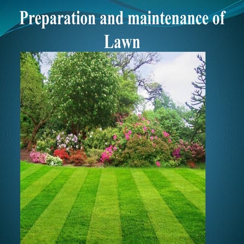 3. Preparation and maintenance of lawn.pptx