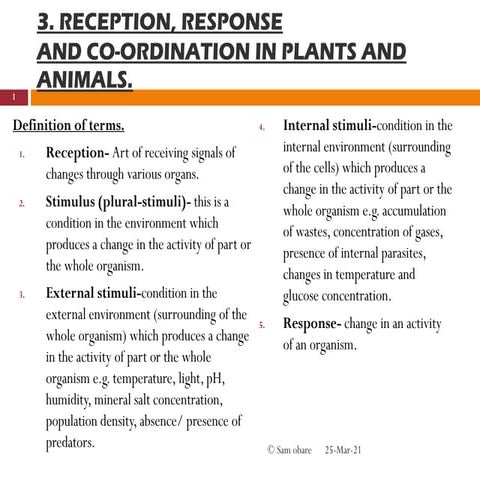 3. Reception, response and co-ordination.pdf