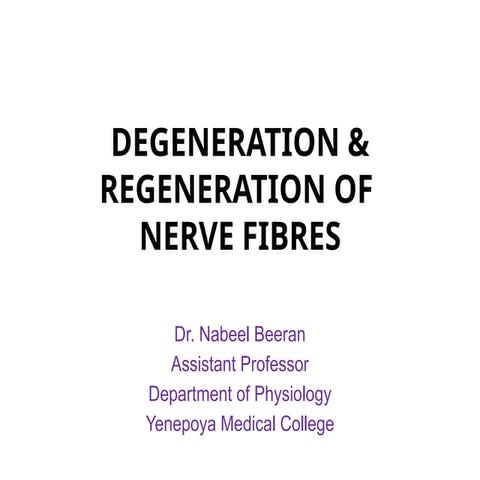3. Degeneration a Regeneration of Nerve Fibres.pptx