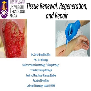 Tissue repair, regeneration and wound healing (1) | PPT