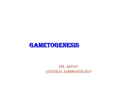 Gametogenesis | PPTX