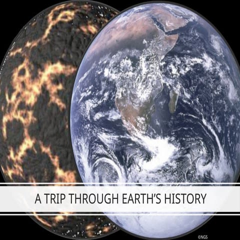 History of life on earth | PPT