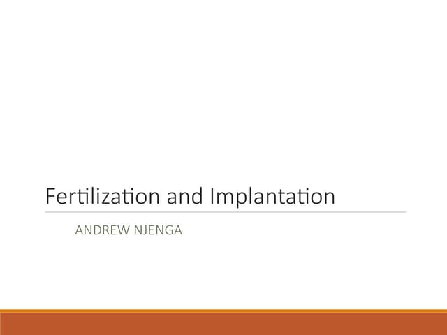 Conception and Placental Development | PPTX