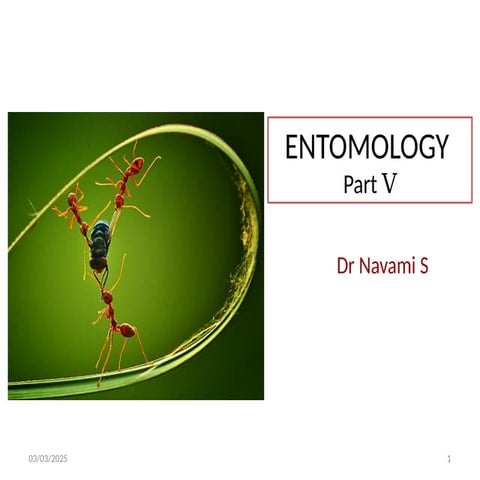 3. Lice and Cyclops.pptx entomology ppt. | PPTX