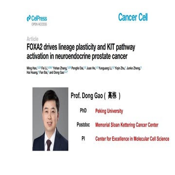 A paper presentation about prostate cancer.pptx