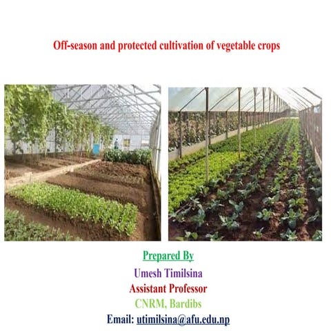 3. Off-season and protected cultivation of vegetable crops.pptx