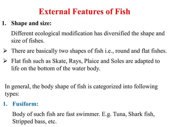 Anatomy of External Organs of the Fishes | PPTX