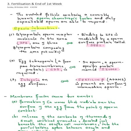 Fertilization detailed notes for topper mbbs student | PDF