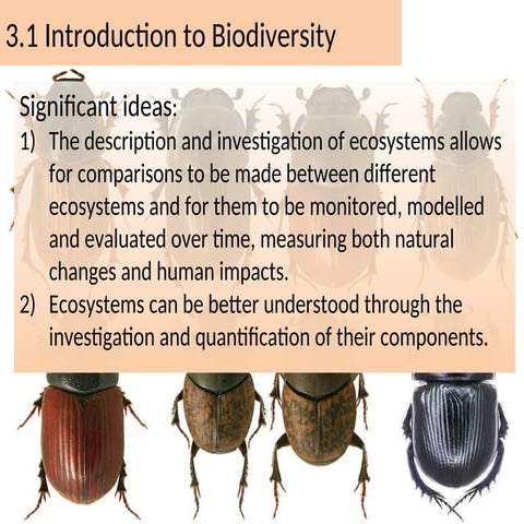 Introduction to biodiversity_Teacher.ppt