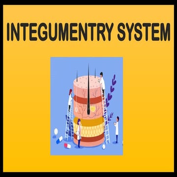 3.Integumentry system...............pptx