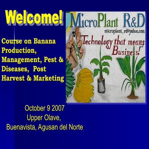 Banana Production Guide-GP Dean.pptx