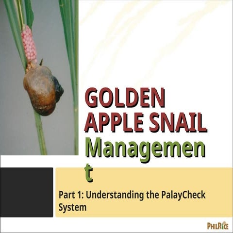 3.8a Golden Apple Snails & Their Management.ppt