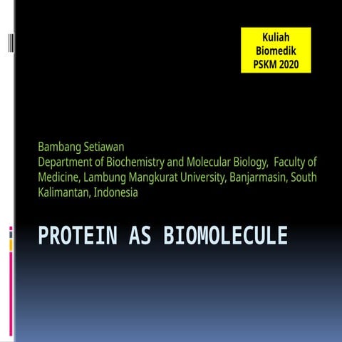 Biomolekul_ProteinBiomolekul_ProteinBiomolekul_Protein | PPTX