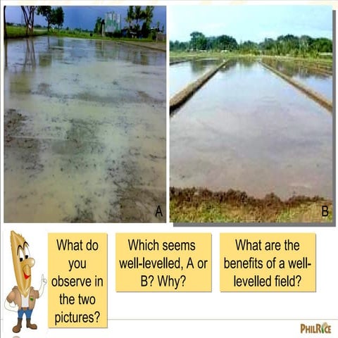 3.3 Land Preparation_Palay Check powerpoint presentationpt | PPT