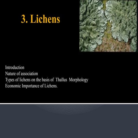 Types of lichens on the basis of Thallus Morphology | PPTX
