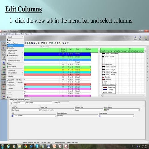 Beginners guide to Primavera P6 to learn | PDF
