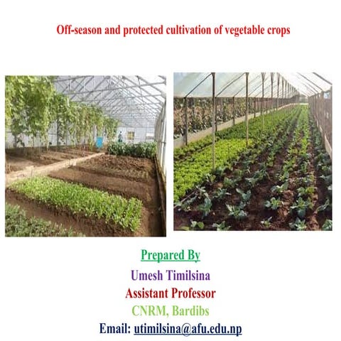 Tally example Legers list | DOC