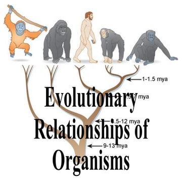 3.6-Evolutionary-Relationships-of-Organism.pdf