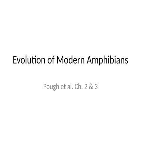 3.1 Evolution of Modern Amphibs 2025.pptx
