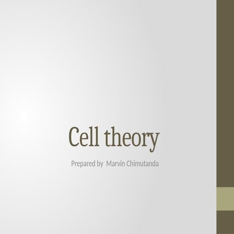 Organelles in an Animal Cell | PPT