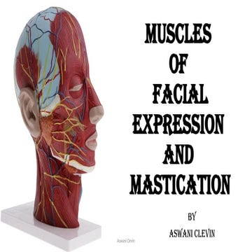 muscles of facial expressions and mastication.pptx